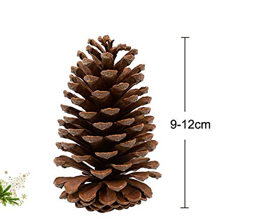 Pine Cones 3.5" to 4.7" Tall Christmas PineCones Giant Large Natural Pinecones for Home Accent Decor, 4 PCS, Bug Free (Large PineCones)