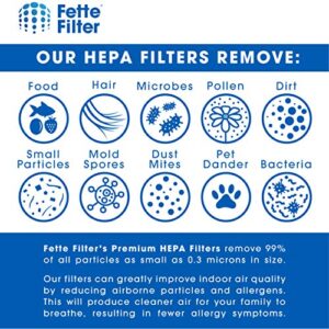 Fette Filter - Air Purifier Allergen Remover True HEPA Filter Compatible with Holmes AER1 True HEPA Filter, Replacement for HAPF300AH-U4R & HAP242-NUC, 4 HEPA Filters and 6 Carbon Filters. (Green)