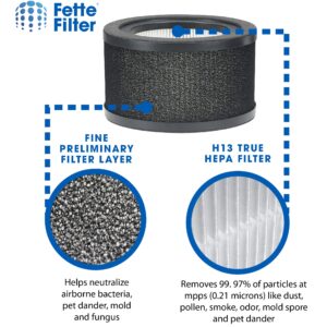 Fette Filter -Pack of 2 Replacement Air Purifier True HEPA Filters with Pre Filter Layer Compatible with Germ Guardian FLT4200 Filter L for GermGuardian Air Purifer Model AC4200W