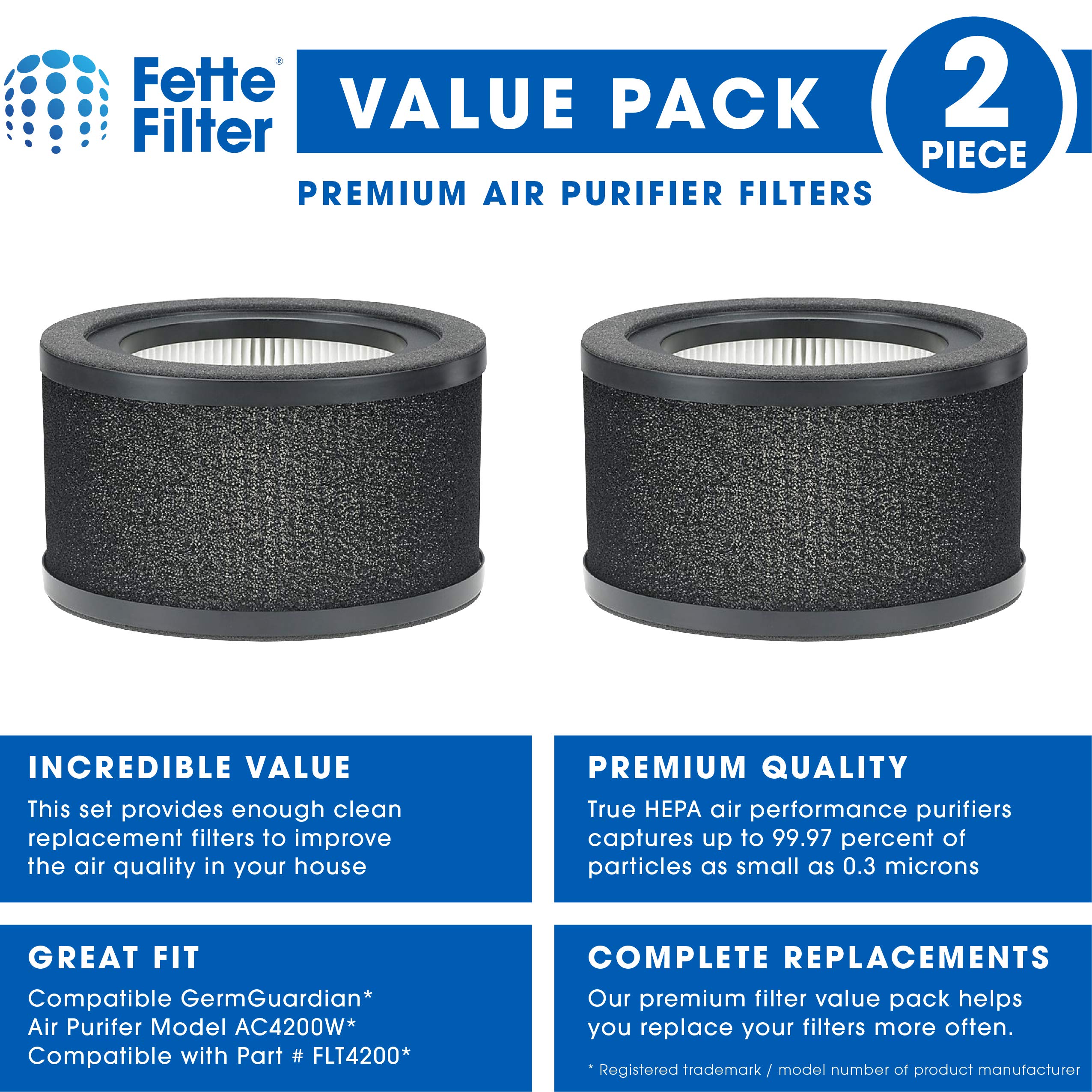 Fette Filter -Pack of 2 Replacement Air Purifier True HEPA Filters with Pre Filter Layer Compatible with Germ Guardian FLT4200 Filter L for GermGuardian Air Purifer Model AC4200W