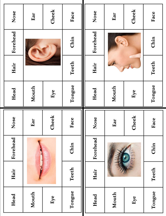 Parts of the Body Vocabulary Activities