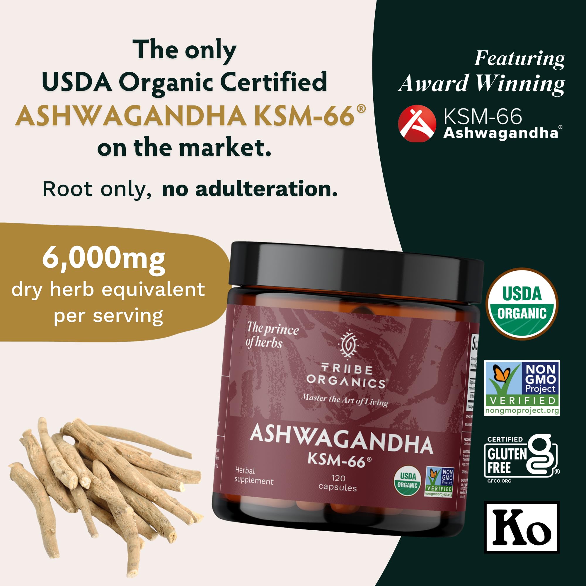 ENDURANCE DUO: Organic KSM-66 Ashwagandha + Organic Moringa - Vegan capsules - 2 Month Supply - Reduce stress fatigue tension worry laziness - Boost energy immunity performance memory focus