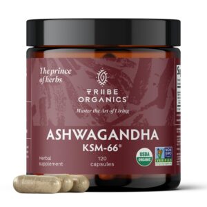 ENDURANCE DUO: Organic KSM-66 Ashwagandha + Organic Moringa - Vegan capsules - 2 Month Supply - Reduce stress fatigue tension worry laziness - Boost energy immunity performance memory focus