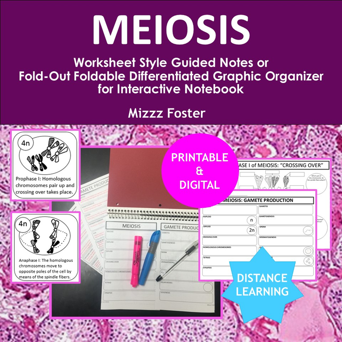 Meiosis Gamete Reproduction Graphic Organizer Guided Notes (Printable & Digital)