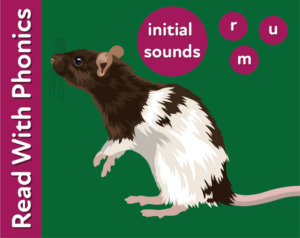 learn the initial phonic sounds 'r, m, u' (3 years +)