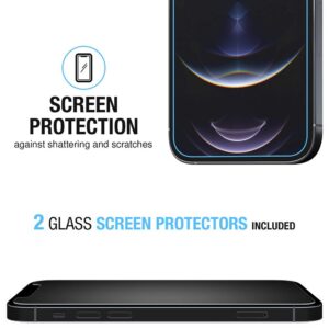 FlexGear Case for iPhone 12 Mini with 2X Glass Screen Protectors [Full Protection] - Crystal Clear