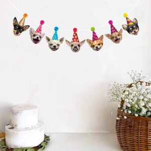 Chihuahua Dog Birthday Garland, Funny Chichi Portraits Party Decor, Dog Face Bunting Banner