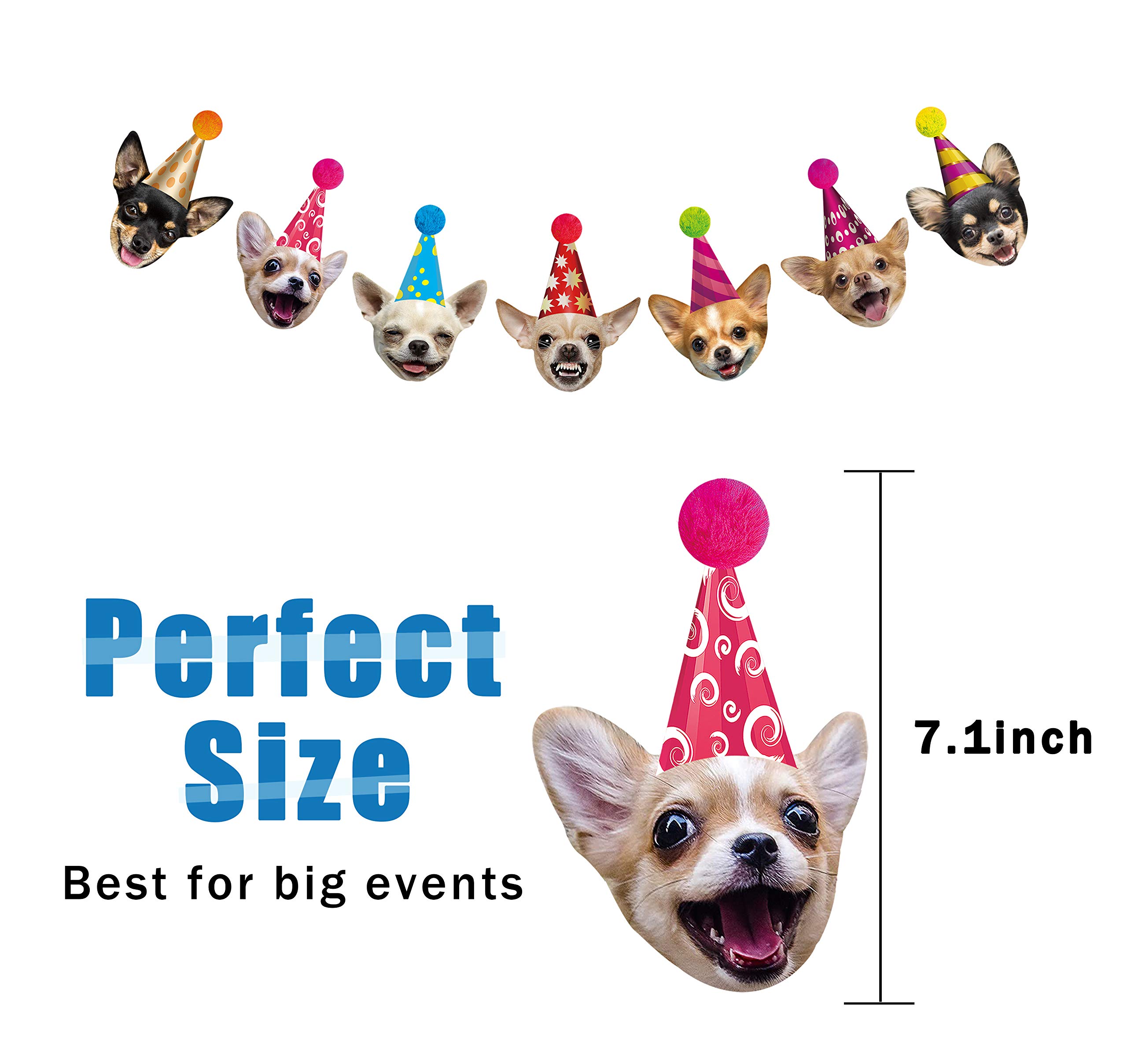 Chihuahua Dog Birthday Garland, Funny Chichi Portraits Party Decor, Dog Face Bunting Banner