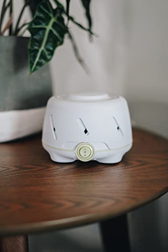 Yogasleep Sweet Dreams Baby Gift Set, Dohm Green + Hushh Portable Travel White Noise Sound Machine