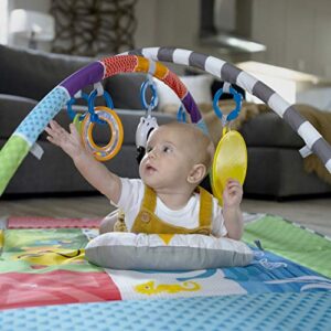 Baby Einstein Patch's Playspace Activity Play Mat & Ball Pit Gym with Music, Age Newborn+