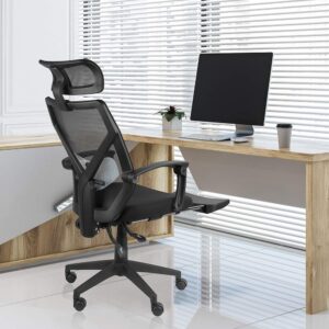 Dripex Ergonomic Office Chair Mesh Computer Desk Chairs with Lumbar Support/Adjustable Headrest/High Back/Wheels Arms, Swivel Rolling Chair for Home Office