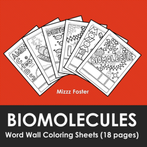 biomoleculeswordwall