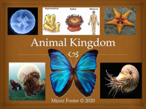 animal kingdom powerpoint (editable)