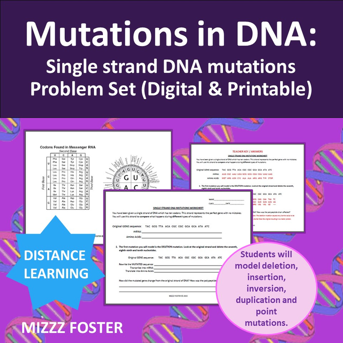 Mutations in DNA: Single Strand DNA Mutations Worksheets (Digital & Printable)