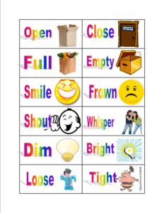 antonym action flashcards