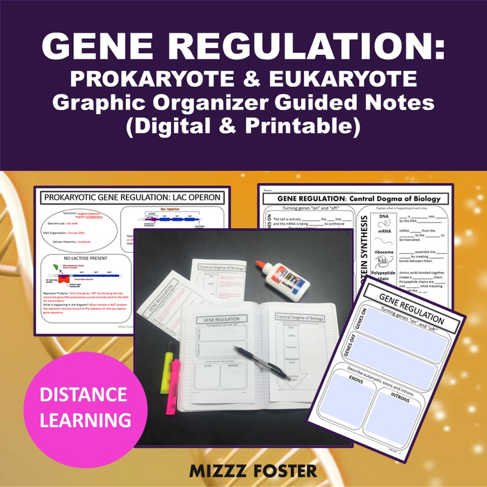 Gene Regulation: Prokaryotic (Lac Operon) vs Eukaryotic Differentiated Guided Notes (Digital & Printable)