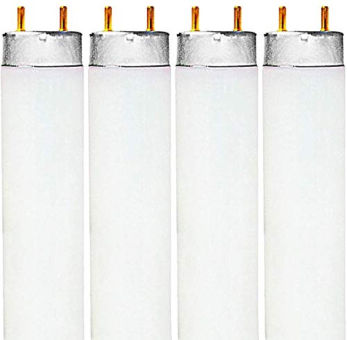 GE 66829 Kitchen and Bath Straight Fluorescent Tube Light Bulb, Bulb Shape T8, 32 WATT, 91 LUMENS-WATT. (24)