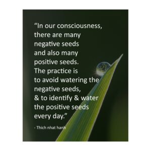 identify and water the positive seeds every da -thich nhat hanh positive affirmation wall art, spiritual wall decor print for home decor, office decor, apartment decor, or zen room, unframed - 8x10