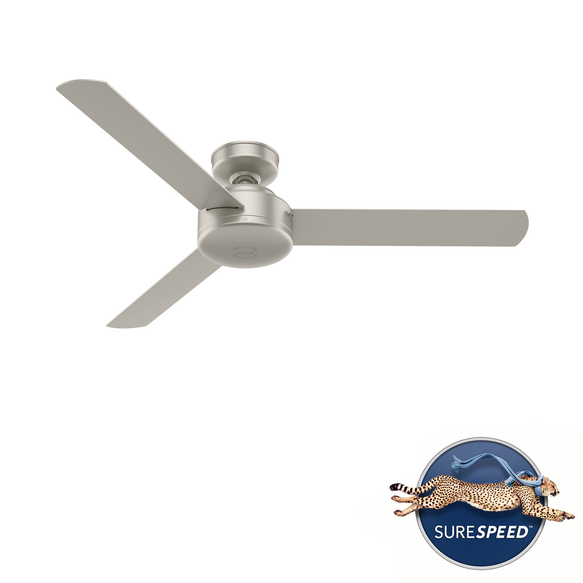 Hunter Fan Company 50812 Presto Ceiling Fan, 52, Matte Nickel