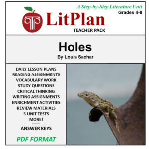 homeschool and online learning novel study guide for holes