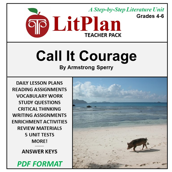 Homeschool and Online Learning Novel Study Guide for Call It Courage