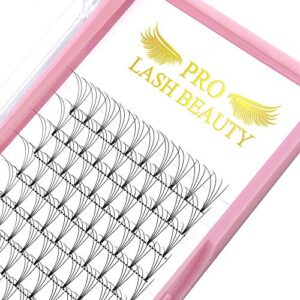 premade fans eyelash extensions 4d 6d 8d short stem premade volume eyelash extensions .07 .10 c d curl pre made lash fans 9 to 20 mm volume lash extensions (4d-d-0.10,13mm)