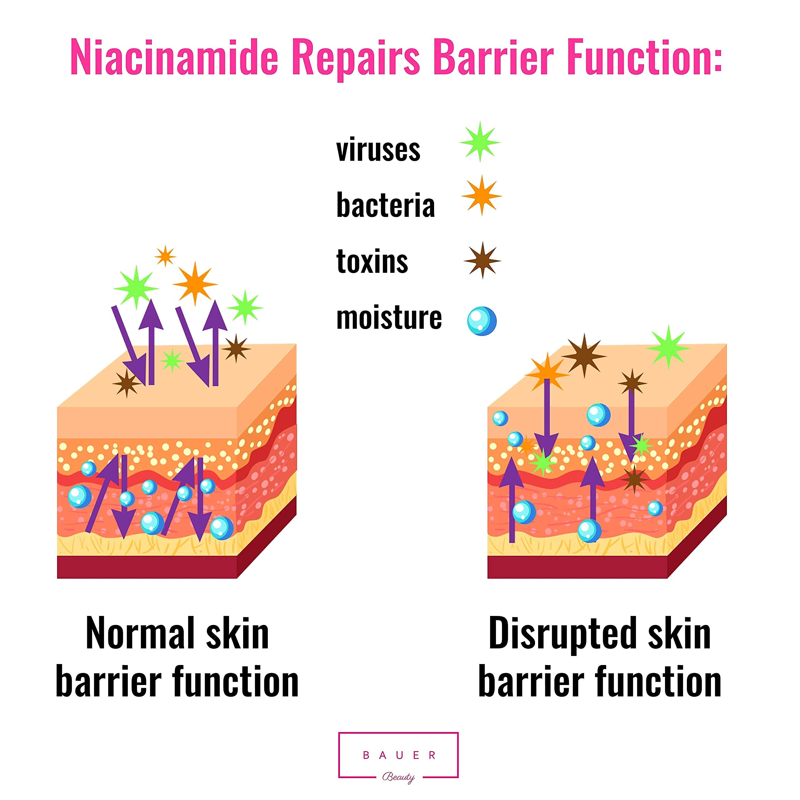 Bauer Beauty Niacinamide Serum 5% With Zinc Pore Minimizer Acne Scar & Anti Aging, Brightening Dark Spot, Reducing Oil And Repair Skin Serum-DERMATOLOGIST TESTED