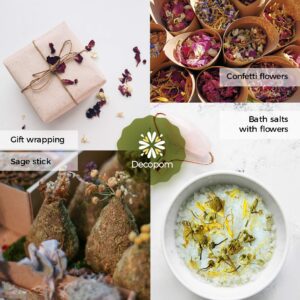 Dried Flowers and Herbs for Soap Making - 18 Varieties Rose Buds Jasmine Lavender Dry Flower Petals - Lip Gloss Witchcraft Supplies Resin Jewelry Essential Oils for Candle Crafts Nail Art Bath Bombs