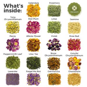 Dried Flowers and Herbs for Soap Making - 18 Varieties Rose Buds Jasmine Lavender Dry Flower Petals - Lip Gloss Witchcraft Supplies Resin Jewelry Essential Oils for Candle Crafts Nail Art Bath Bombs