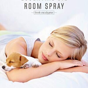 Craft & Kin Eucalyptus Room Spray, Fall Room Spray, Eucalyptus Essential Oil Spray, Eucalyptus Linen Spray for Pillows, Eucalyptus Spray Room, Holiday Room Spray, Christmas Room Spray 3.4 oz