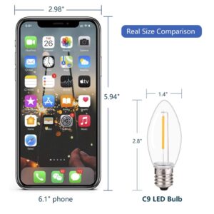 BORT 25 Pack C9 LED Replacement Light Bulb, C9 LED Bulbs for Christmas Outdoor String Lights, E17 Intermediate Base, Commercial Grade Holiday Bulbs Warm White 2700K