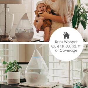 Crane Ultrasonic Humidifiers for Bedroom and Office, 1 Gallon 4-in-1 Cool Mist Air Humidifier for Large Room and Home, Humidifier Filters Optional, Clear & White