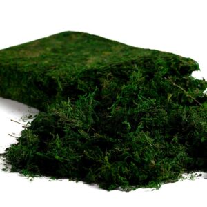 farmoo artificial moss for plant, 8oz fairy garden lawn crafts wedding decor, 225gr (fresh green moss)