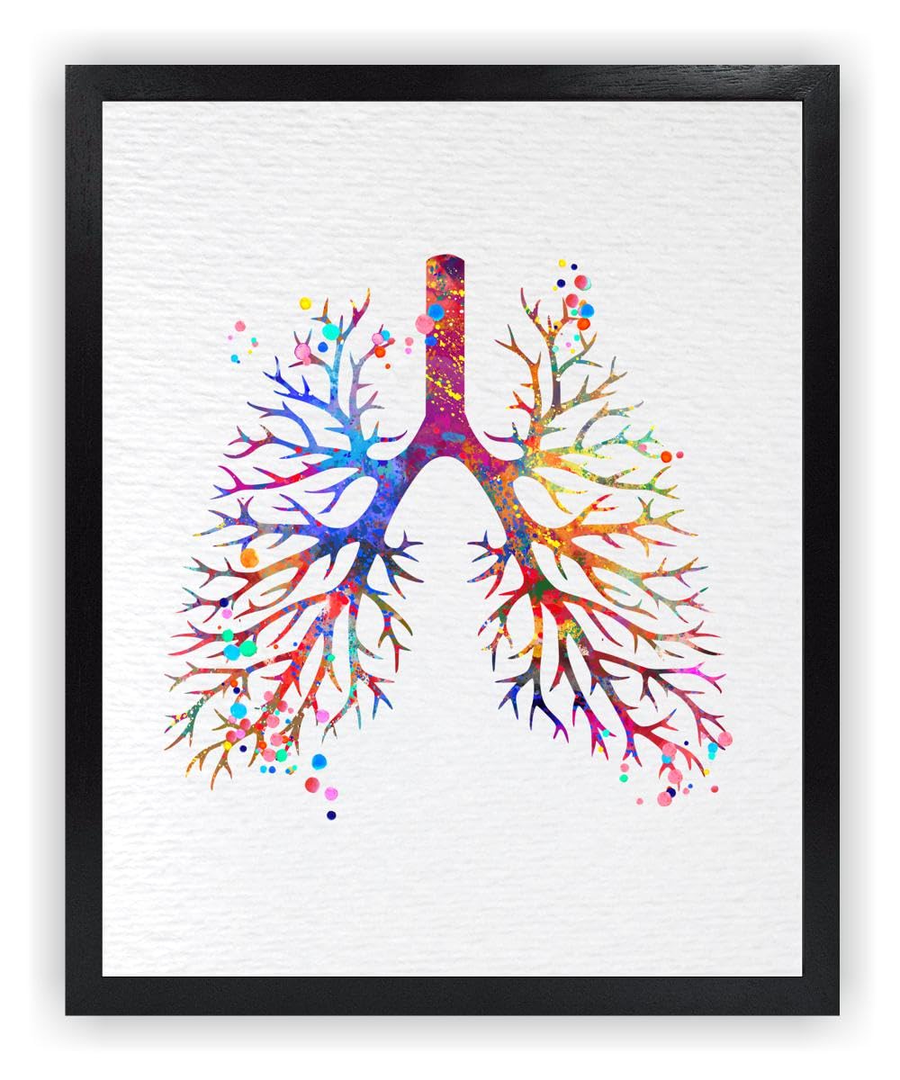 Dignovel Studios 8X10 Unframed Lung Anatomy Human Body Watercolor Art Print Poster Medical Science Housewarming Wall Art Giclee Office Home Decor DN541