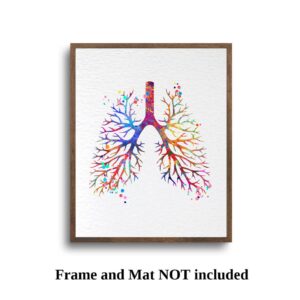 Dignovel Studios 8X10 Unframed Lung Anatomy Human Body Watercolor Art Print Poster Medical Science Housewarming Wall Art Giclee Office Home Decor DN541