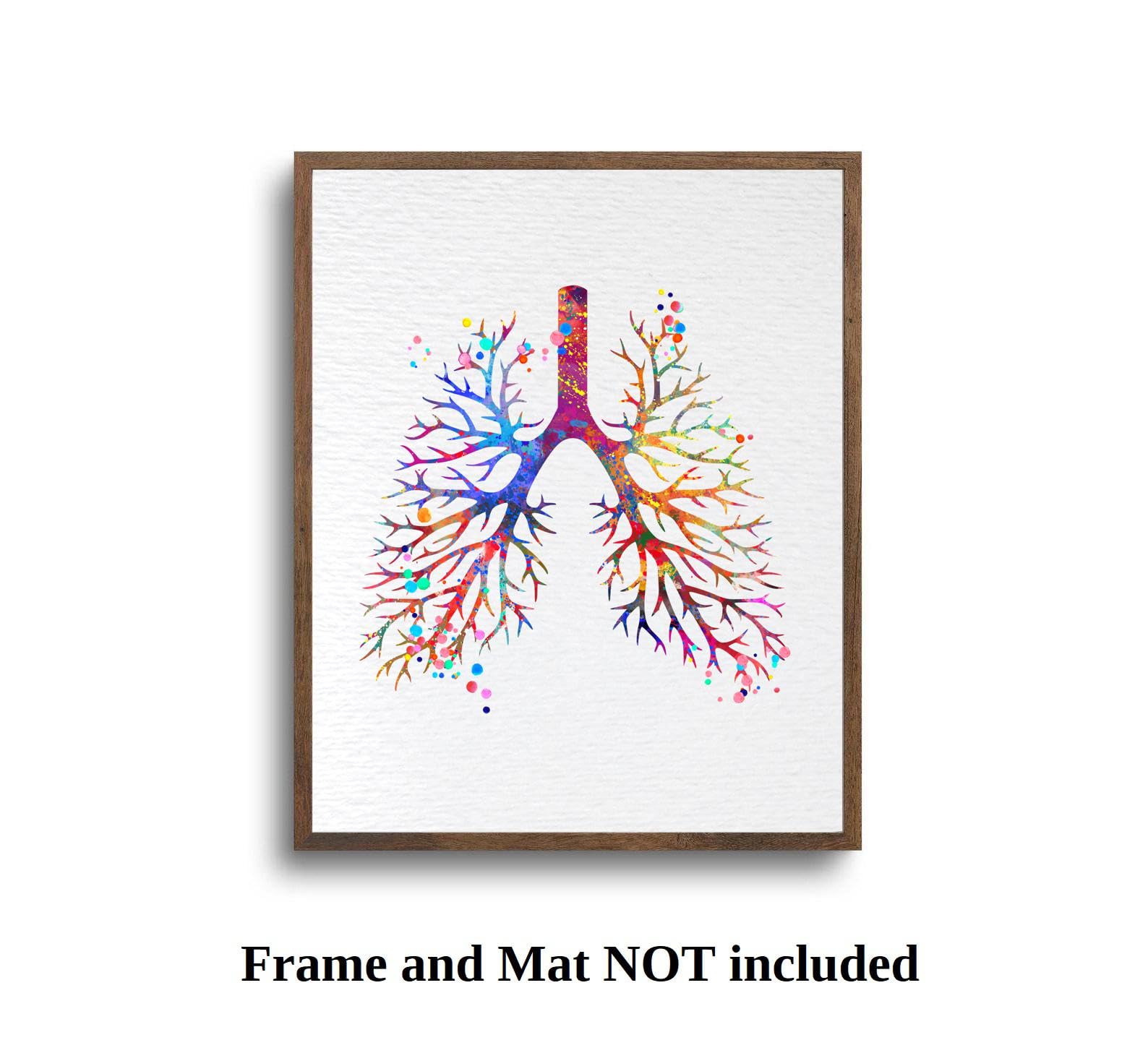 Dignovel Studios 8X10 Unframed Lung Anatomy Human Body Watercolor Art Print Poster Medical Science Housewarming Wall Art Giclee Office Home Decor DN541