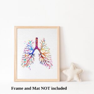 Dignovel Studios 8X10 Unframed Lung Anatomy Human Body Watercolor Art Print Poster Medical Science Housewarming Wall Art Giclee Office Home Decor DN541