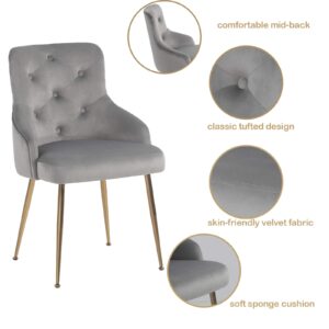 Blairot Velvet Vanity Chair with Tufted Back Gold Metal Legs Dining Chair Mid Century Modern Upholstered Accent Desk Chair for Living Room Home Office Bedroom (Grey)