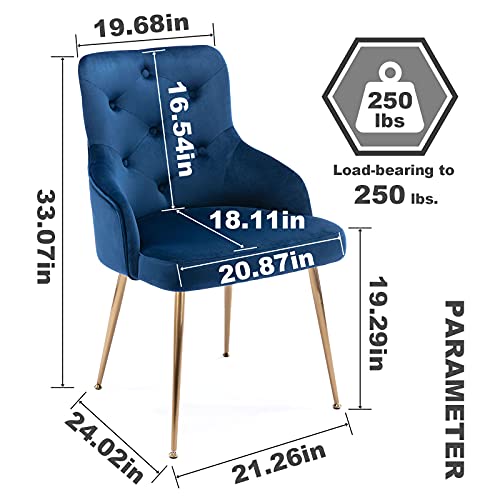 FCQuality Velvet Vanity Chair with Tufted Back Gold Metal Legs Dining Chair Mid Century Modern Upholstered Accent Desk Chair for Living Room Home Office Bedroom, Cobalt/Royal Blue