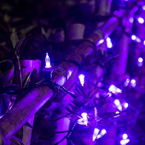 200 LED Purple Halloween String Lights,66ft Fairy Lights Plug in, 8 Modes Connectable Green Wire LED String Lights for Indoor, Outdoor, Halloween, Holiday, Wedding, Party, Christmas Decorations