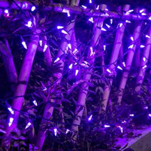 200 LED Purple Halloween String Lights,66ft Fairy Lights Plug in, 8 Modes Connectable Green Wire LED String Lights for Indoor, Outdoor, Halloween, Holiday, Wedding, Party, Christmas Decorations