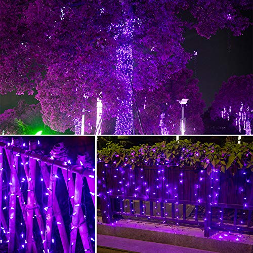 200 LED Purple Halloween String Lights,66ft Fairy Lights Plug in, 8 Modes Connectable Green Wire LED String Lights for Indoor, Outdoor, Halloween, Holiday, Wedding, Party, Christmas Decorations