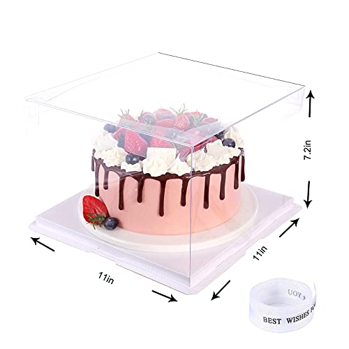 2 Pack Clear Tall Cake Boxes - 8 inch Clear Cake Box With Ribbon Birthday Anniversary Wedding Tier Clear Cake Boxes 10'' x 10'' x 7''