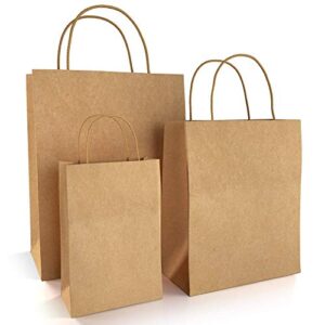 BagKraft Brown Paper Bags with Handles Mixed Size | 100% Recyclable Kraft Paper | Ideal for Gifts, Shopping, Boutique, Packaging, Merchandise, Grocery and Craft (30)