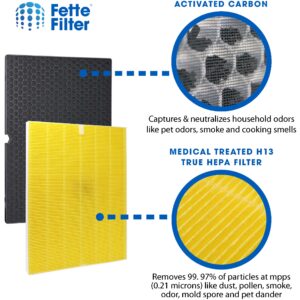 Fette Filter - Air Purifier True HEPA Filter Replacement Compatible with Winix 116131 Filter I for C555, Premium H13 True HEPA and Washable Advanced Carbon Filter - Pack of 1