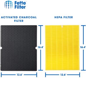 Fette Filter - Air Purifier True HEPA Filter Replacement Compatible with Winix 116131 Filter I for C555, Premium H13 True HEPA and Washable Advanced Carbon Filter - Pack of 1