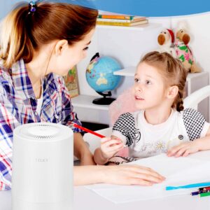 Air Purifier for Bedroom,Small Air Cleaner for Desktop,Compact Design,White,900S