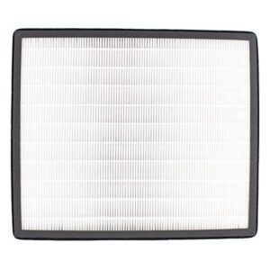 ApplianPar Pack of 2 Replacement HEPA Filter with Activated Carbon for Intelli-Pro XJ-3800 Air Purifier