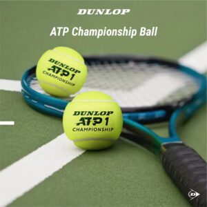 DUNLOP ATP Championship Regular Duty Tennis Balls, Case