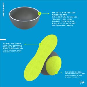 DUNLOP ATP Championship Regular Duty Tennis Balls, Case